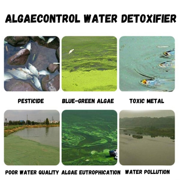Tetra Algae Control Tablets : themasterproduct.com